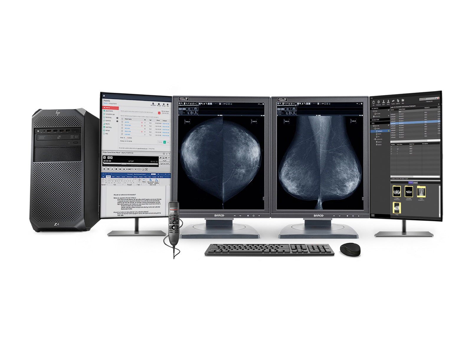 Complete Mammography Reading Station - HP Workstation
